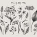 Spring PNG, Wild Flowers SVG, Wildflower Clipart, Vintage Easter ...