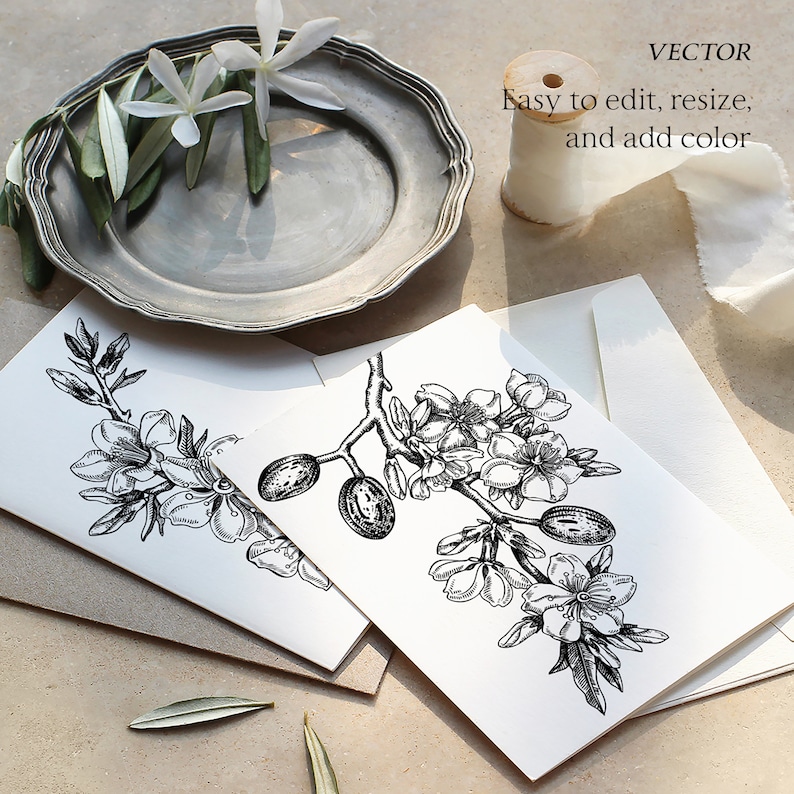 Almond Tree Branches PNG, Vintage Flowers SVG Files, Hand Drawn ...