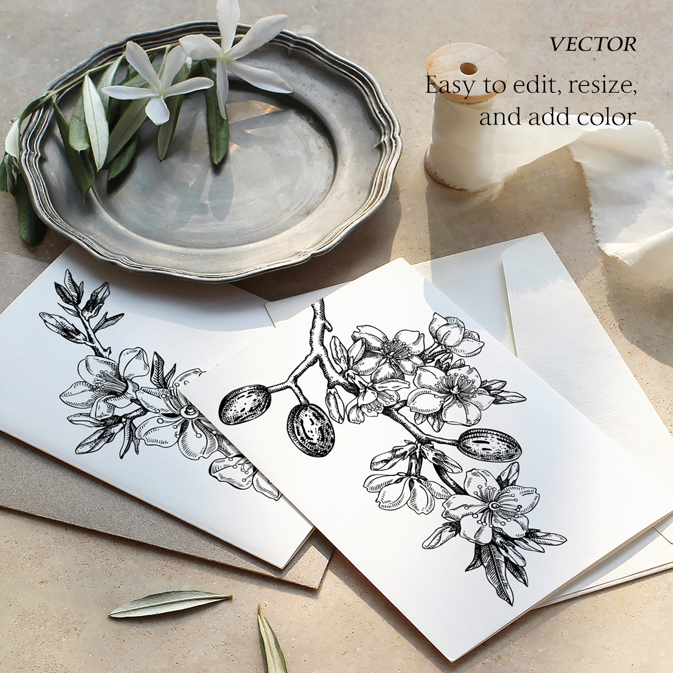 Almond Tree Branches PNG: Hand Drawn Botanical Print, Vintage Flowers ...