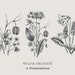 Spring PNG, Wild Flowers SVG, Wildflower Clipart, Vintage Easter ...