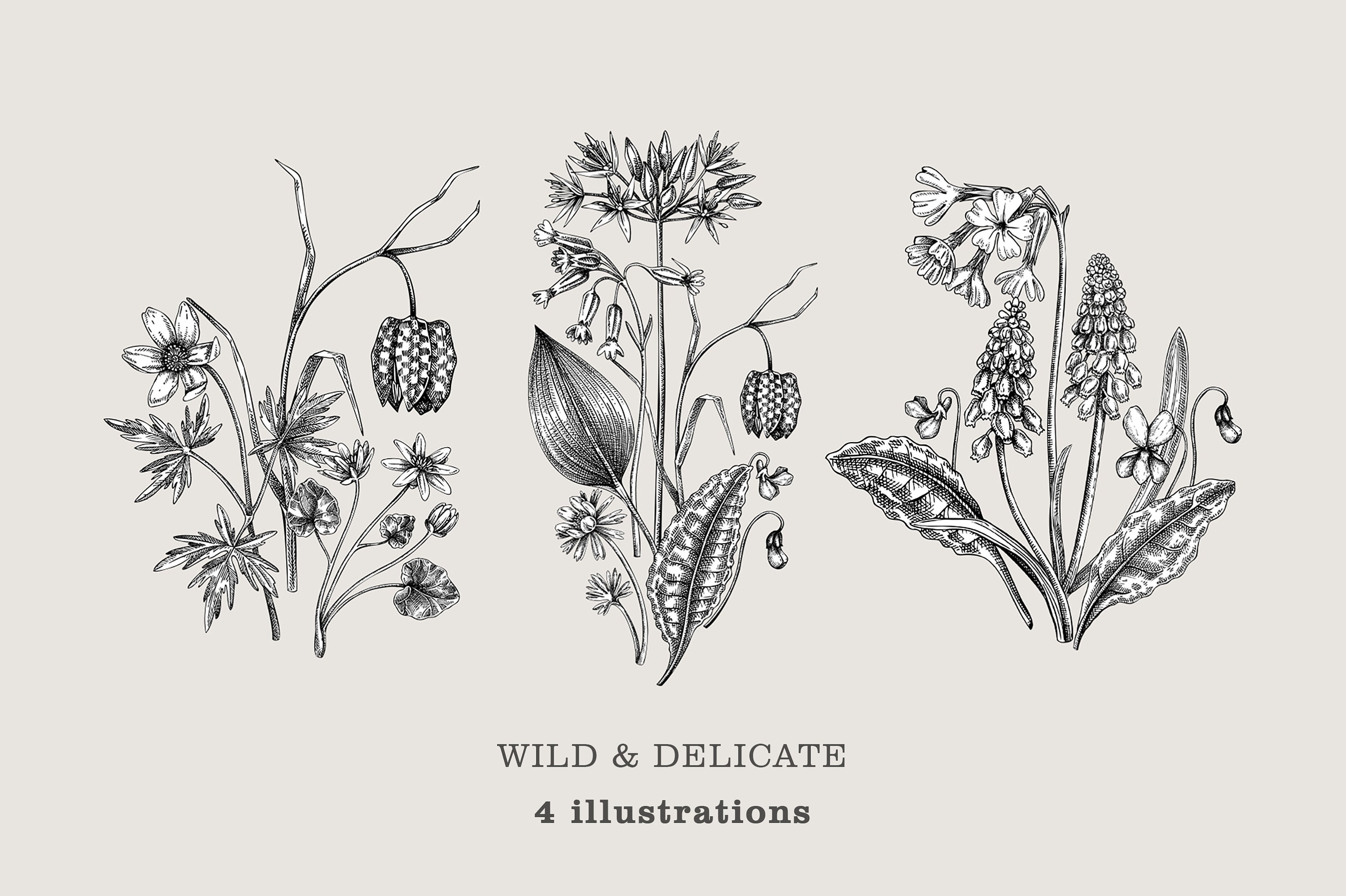 Spring PNG, Wild Flowers SVG, Wildflower Clipart, Vintage Easter ...