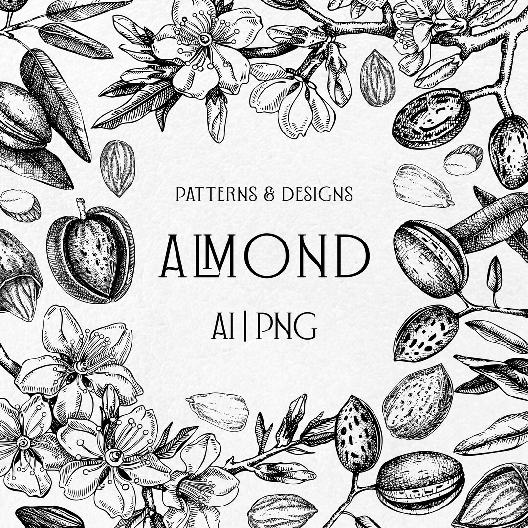 Almond Blooming Tree Sketch, Botanical Prints, Hand Drawn Flowers ...