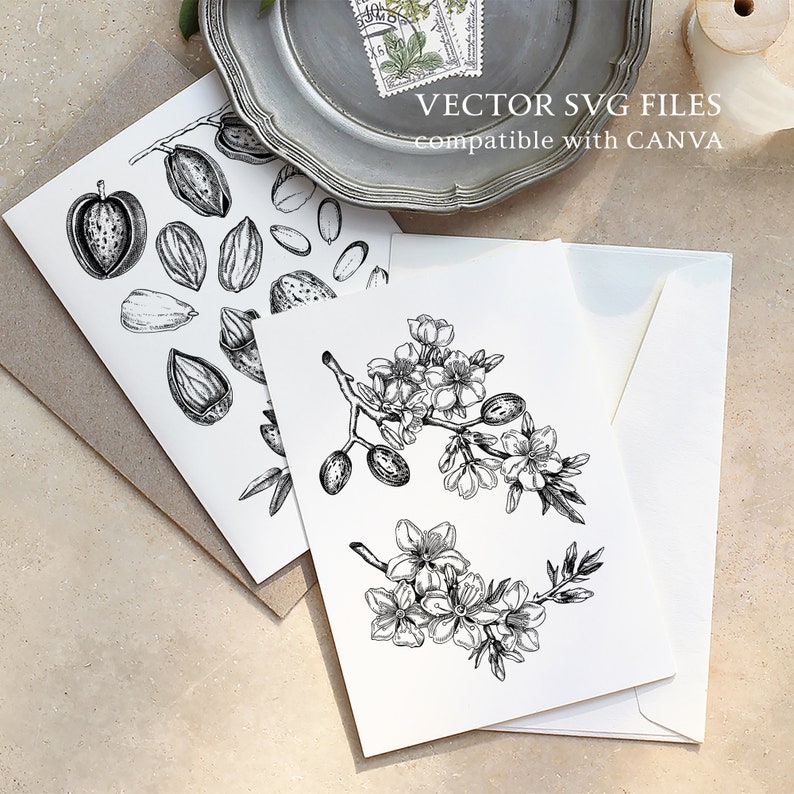 Almond Tree Branches PNG, Vintage Flowers SVG Files, Hand Drawn ...