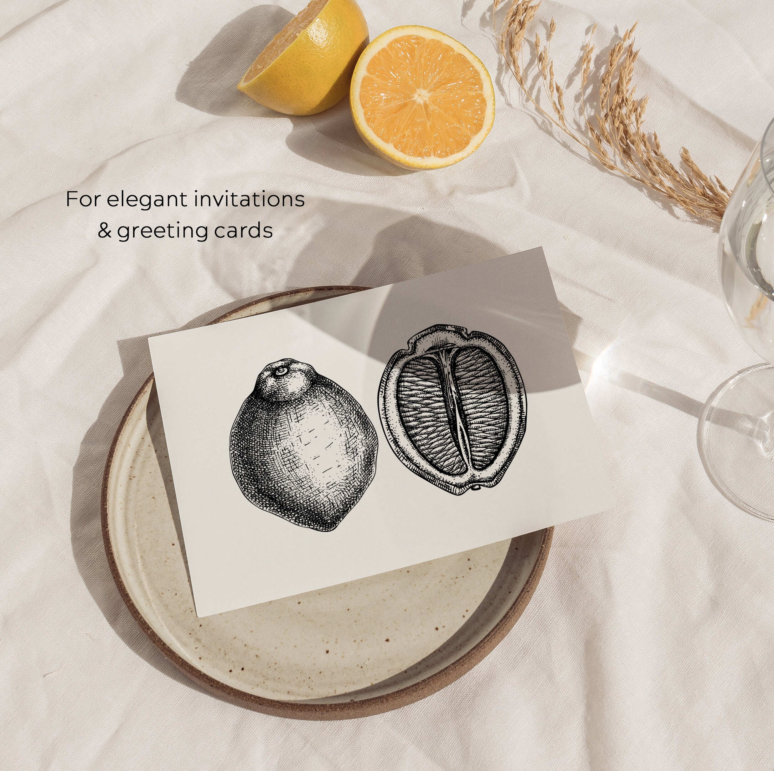 Lemon Tree Vector Art. Citrus Fruit Clipart Digital Drawing. Exotic ...