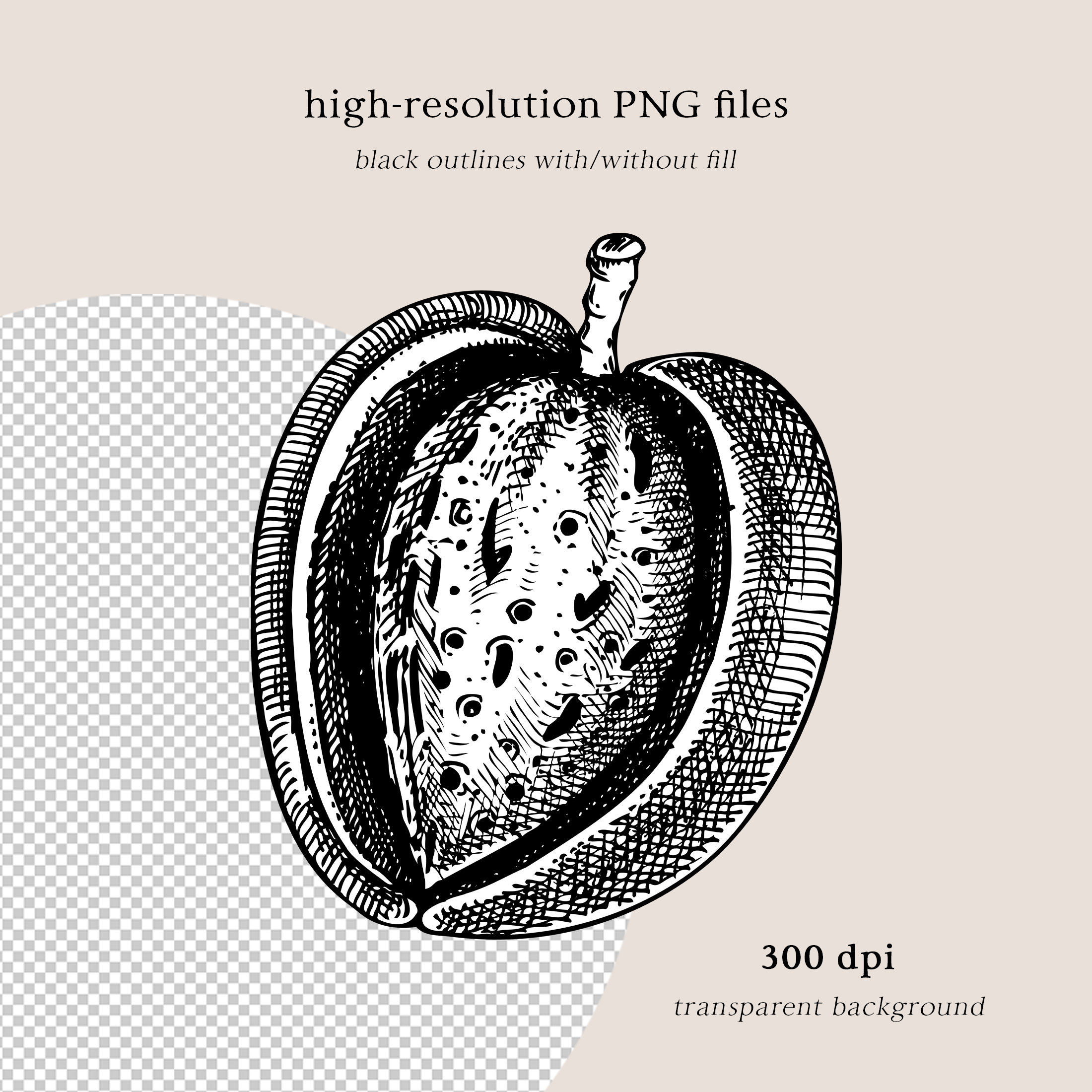 Almond Tree Branches PNG, Vintage Flowers SVG Files, Hand Drawn ...