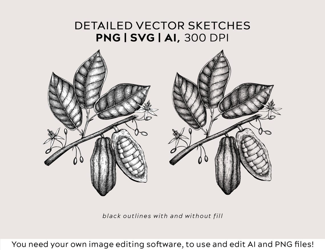 Hand Drawn Cocoa Outline Drawing, Chocolate Logo Design Print, Cocoa ...