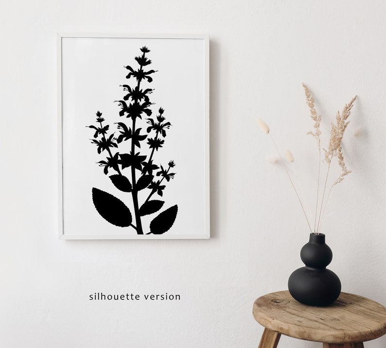 Sage Sketch. Salvia Herb Garden Floral Clipart. Hand Drawn - Etsy