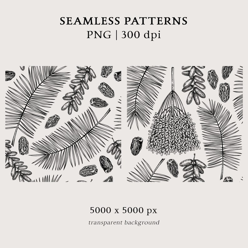 Date Palm Tree SVG Files, Exotic Plant Vector, Tropical Sketch, Healthy ...