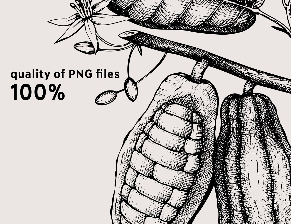 Hand Drawn Cocoa Outline Drawing, Chocolate Logo Design Print, Cocoa ...