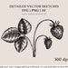 Berries SVG Files, Fruit Plant Vector Graphics, Botanical SVG, Food ...