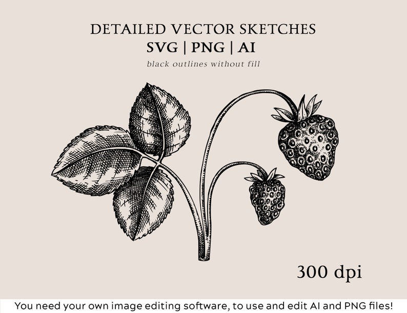 Berries SVG Files, Fruit Plant Vector Graphics, Botanical SVG, Food ...