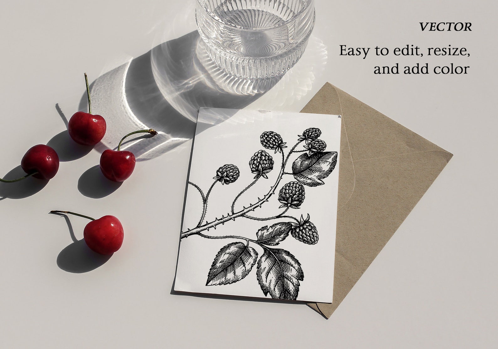 Berries SVG Files, Fruit Plant Vector Graphics, Botanical SVG, Food ...