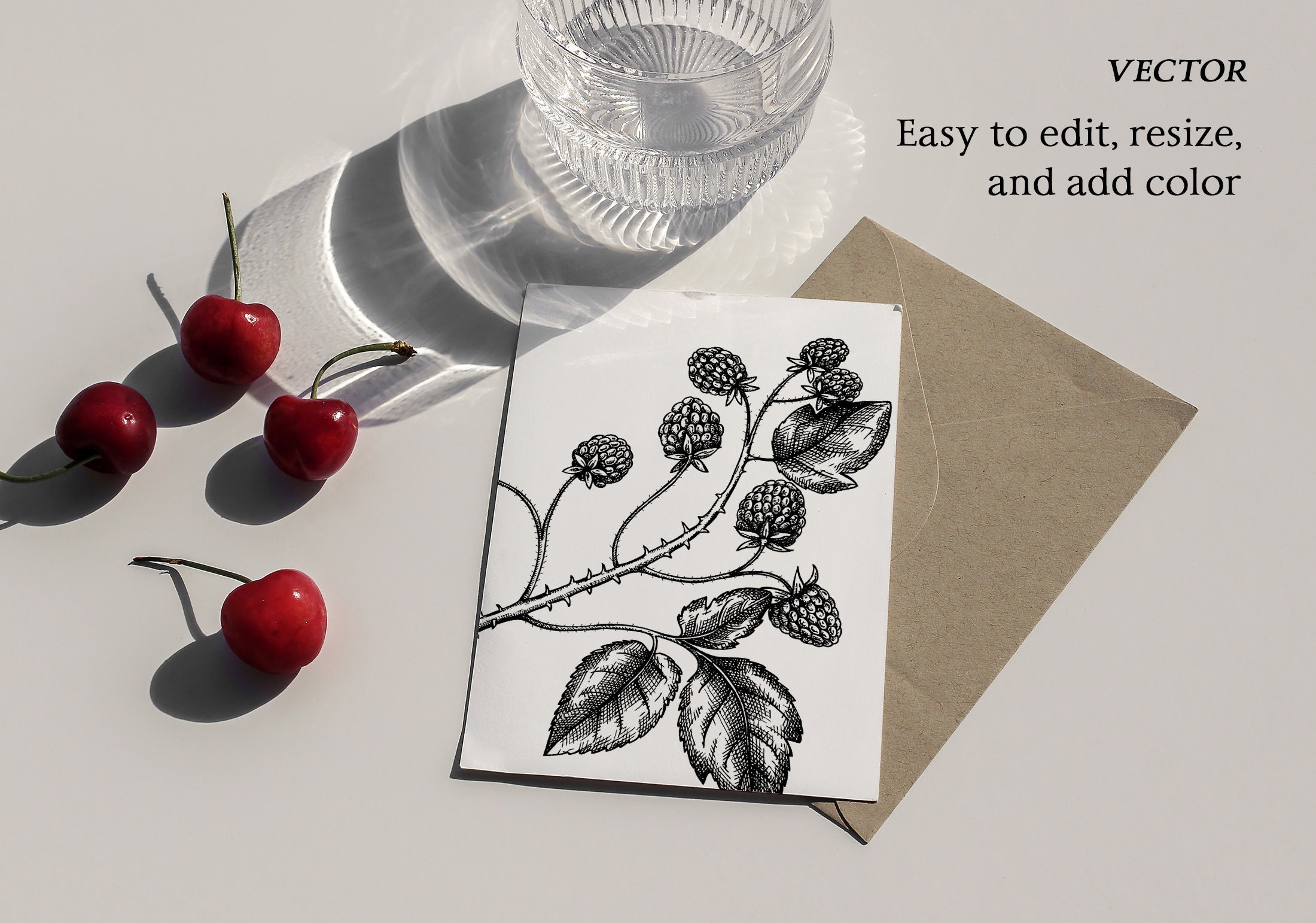 Berries SVG Files, Fruit Plant Vector Graphics, Botanical SVG, Food ...