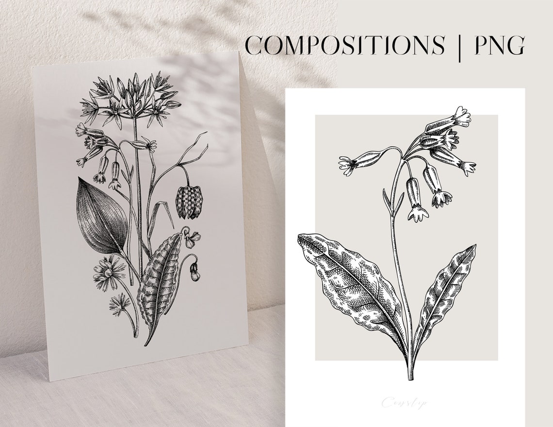 Spring PNG, Wild Flowers SVG, Wildflower Clipart, Vintage Easter ...