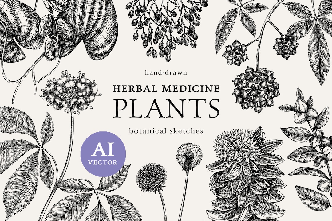 Herbal Medicine Vector. Medicinal Tea Sketch. Healing Herbs for Health ...