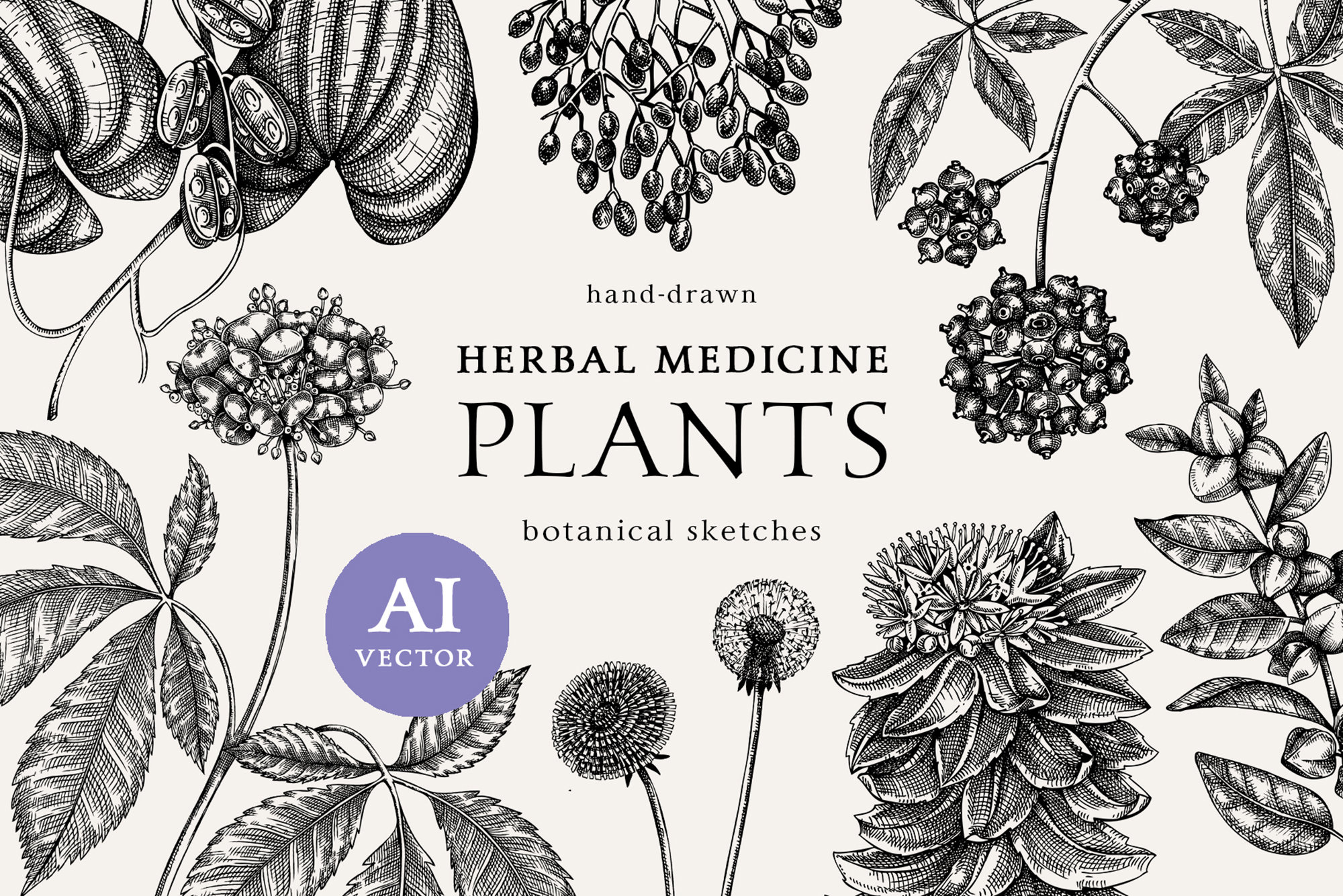 Herbal Medicine Vector. Medicinal Tea Sketch. Healing Herbs for Health ...