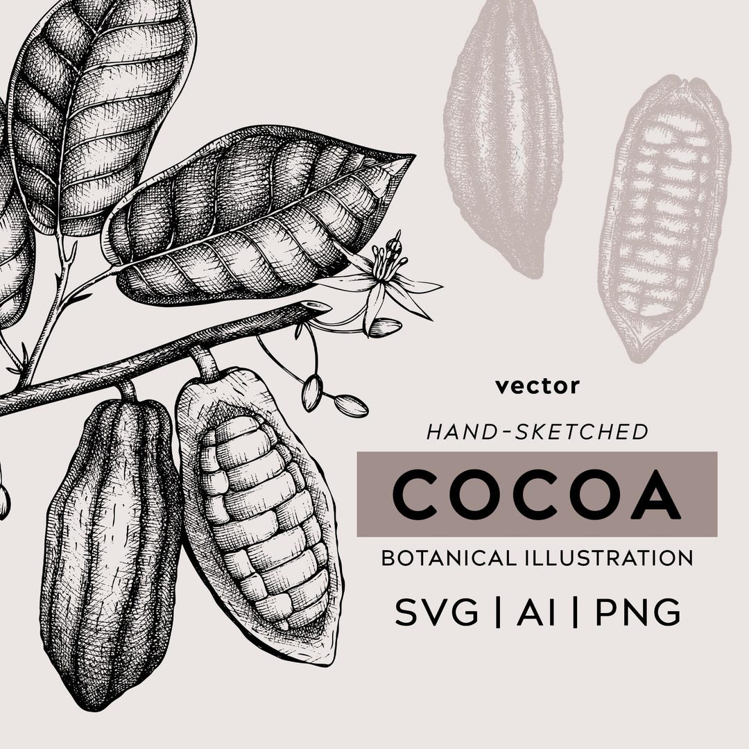Hand Drawn Cocoa Outline Drawing, Chocolate Logo Design Print, Cocoa ...