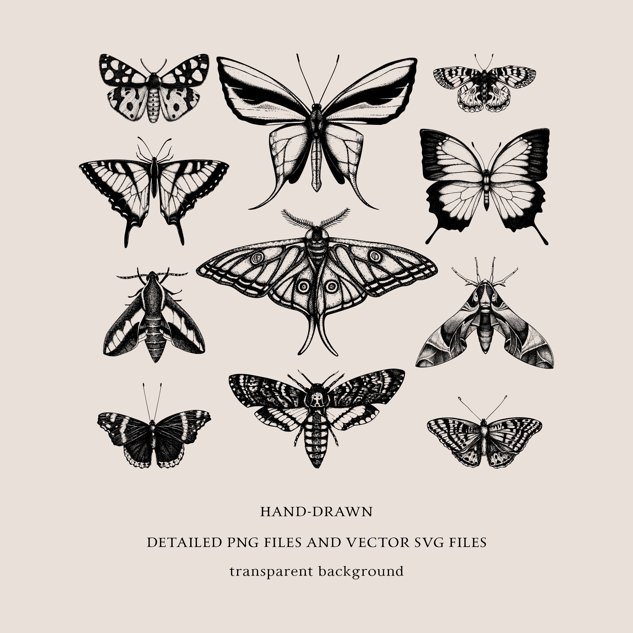 Butterfly SVG, Vintage Insect Print, Butterflies Clipart, Hand Drawn ...