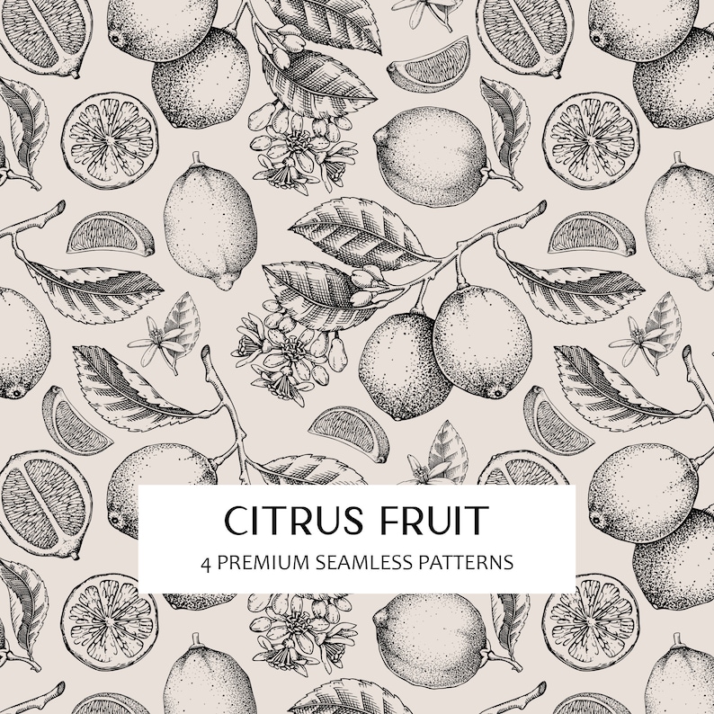 Lime Fruit Seamless Pattern PNG, Exotic Plants Seamless Texture, Hand ...