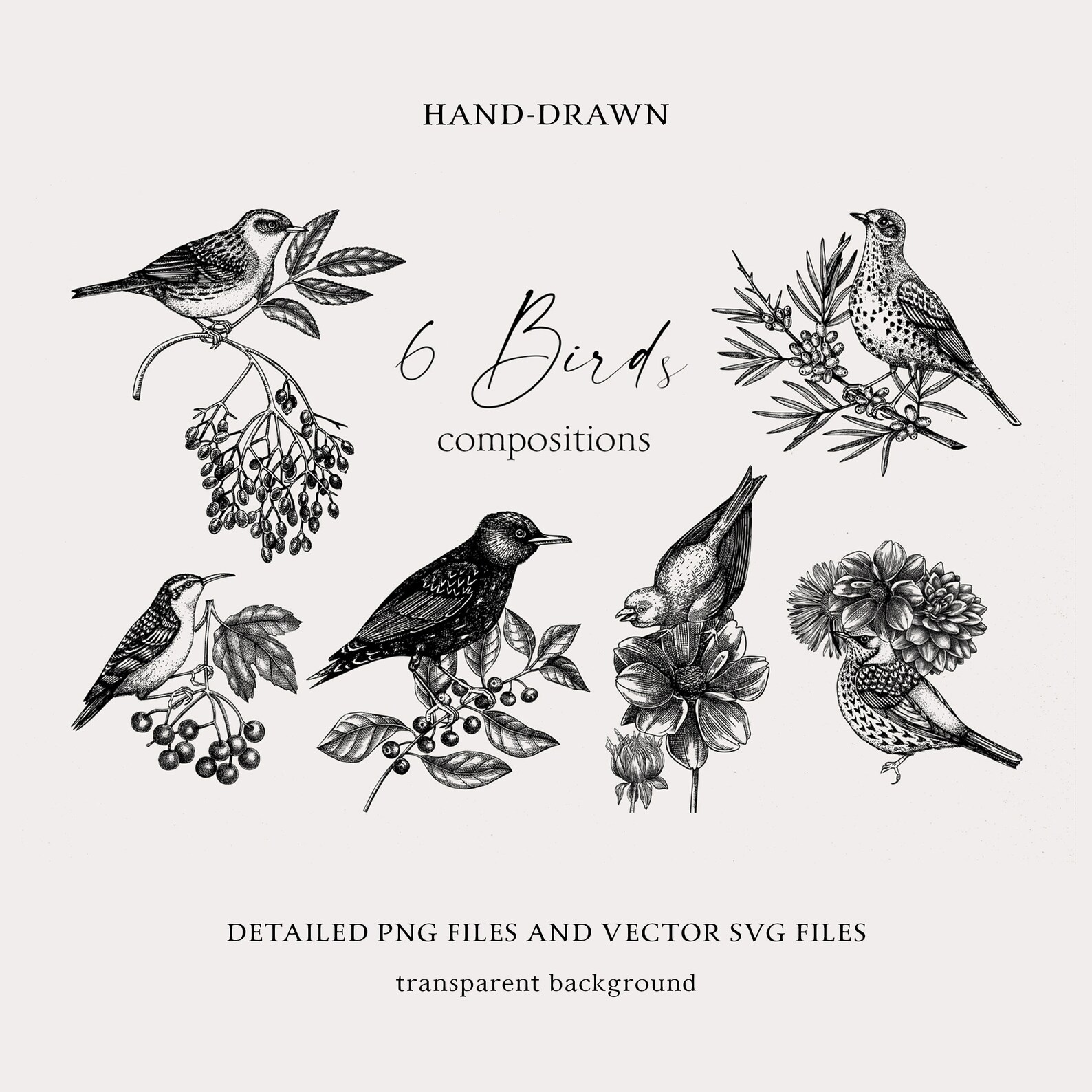 Bird SVG Files, Decorative Bird Drawing, Boho Chic, Engraving Vector ...