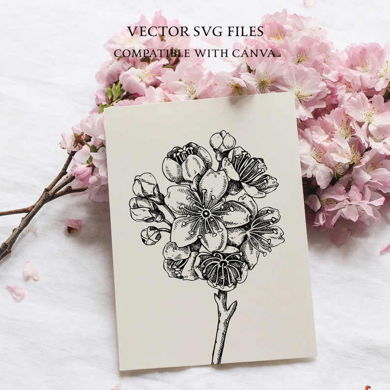 Cherry Blossom Tree, Sakura Flowers SVG, Japanese Decor, Hand Drawn ...