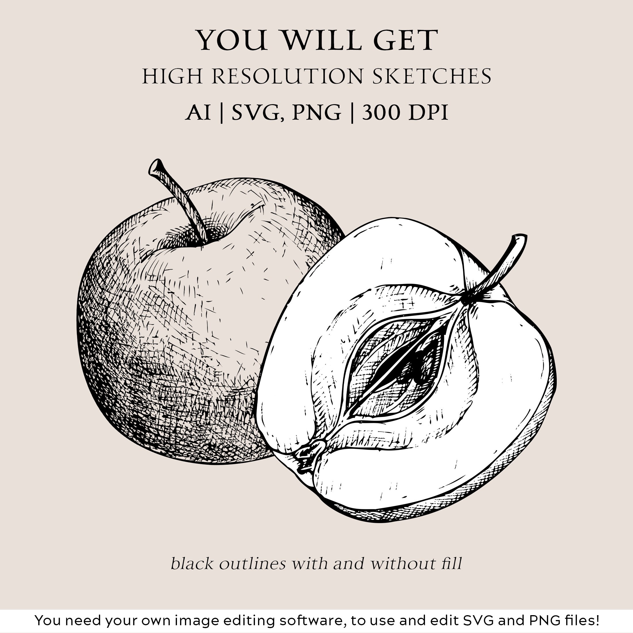 Fresh Fruit Clipart: Botanical Prints, Food Graphics, Hand Drawn Summer ...