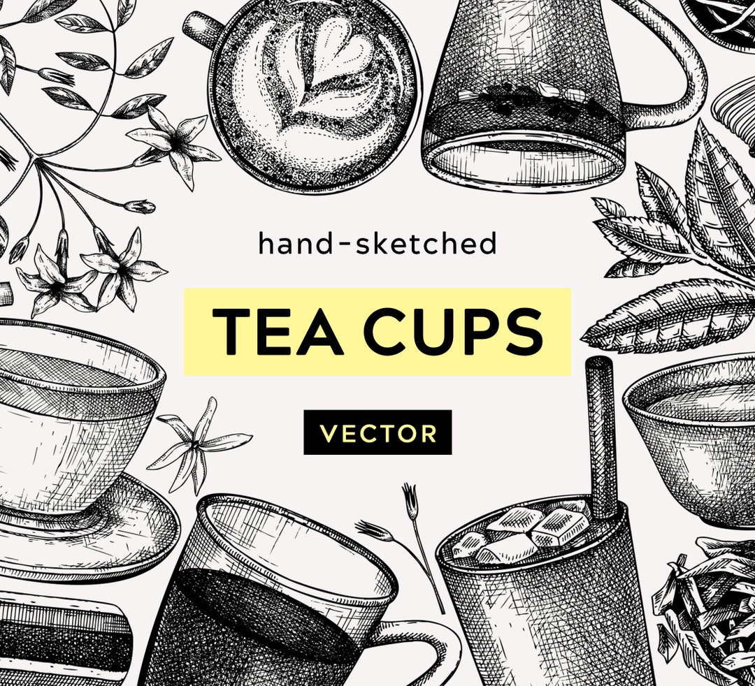 Tea Party Line Drawing. Vector Sketch Art. Matcha Bowl, Jasmine Plant ...