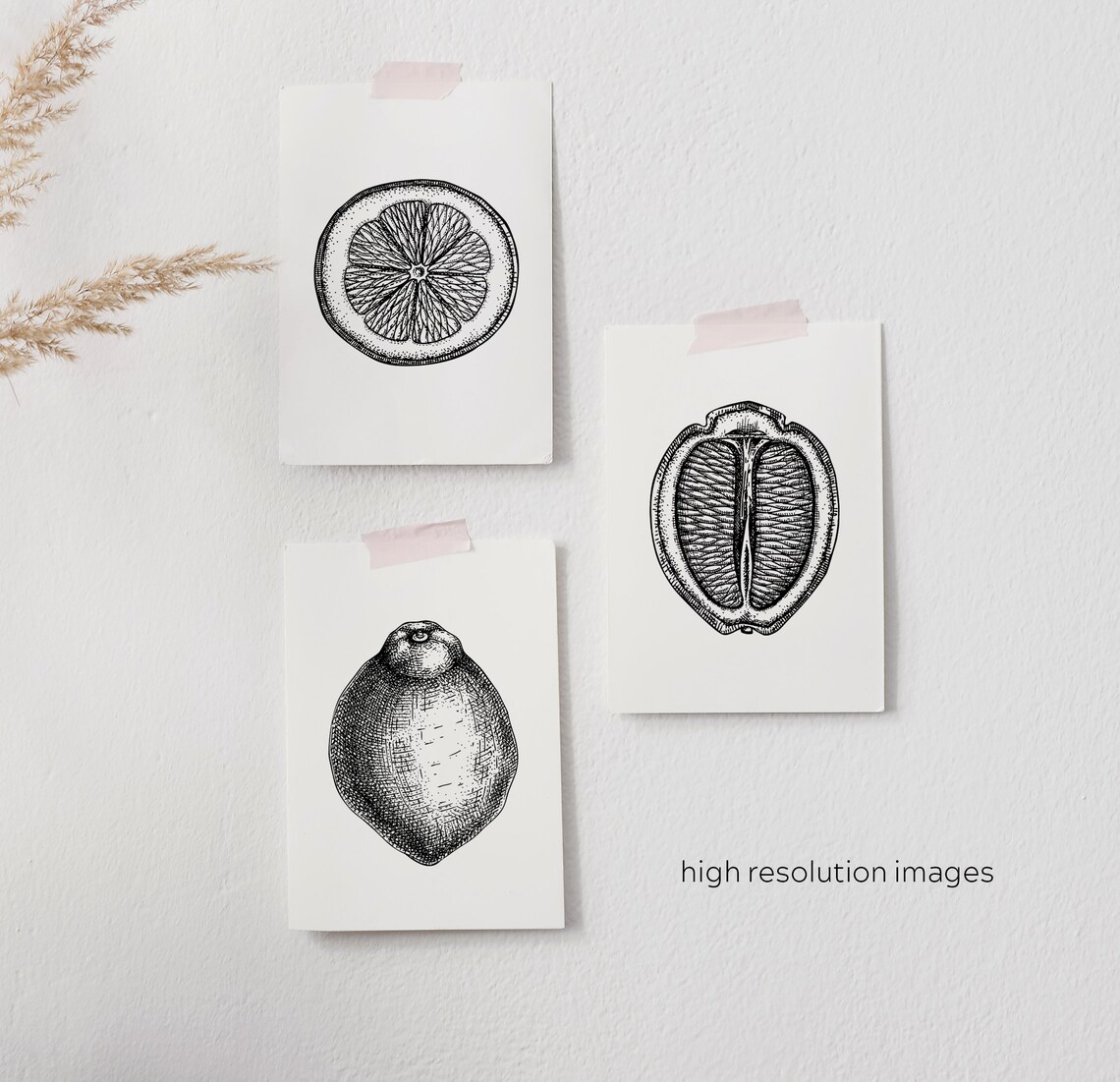 Lemon Tree Vector Art. Citrus Fruit Clipart Digital Drawing. Exotic ...