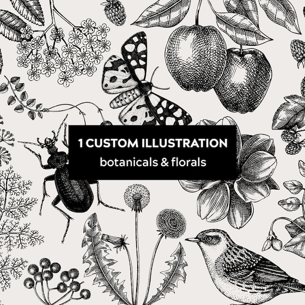 5 Custom Sketch, Botanical Illustration, Digital Art Commission, Hand ...