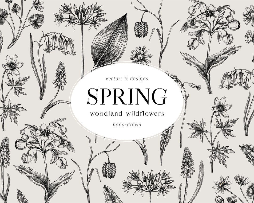 Spring PNG, Wild Flowers SVG, Wildflower Clipart, Vintage Easter ...