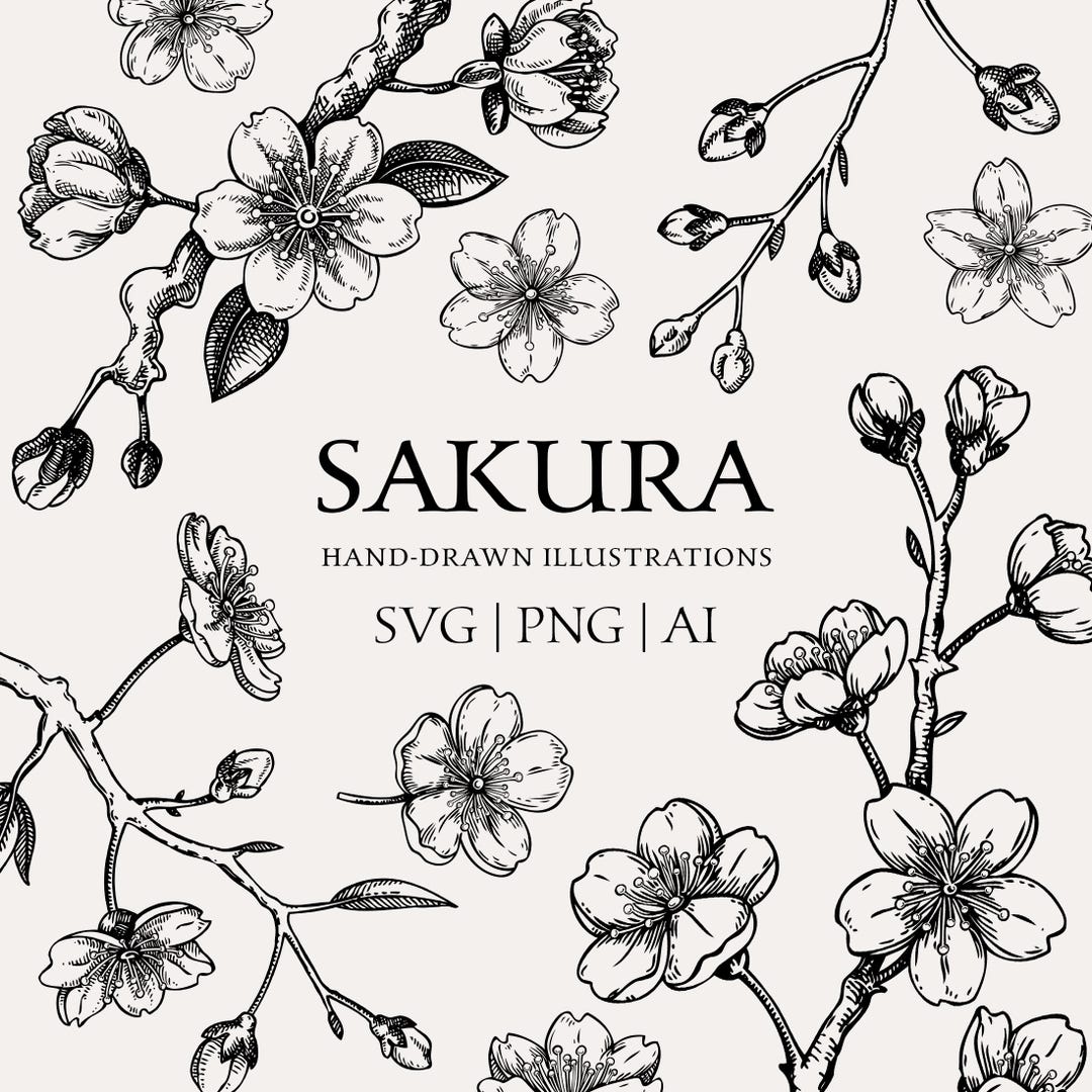 Cherry Blossom SVG, Sakura Flowers SVG, Blooming Spring Clipart ...