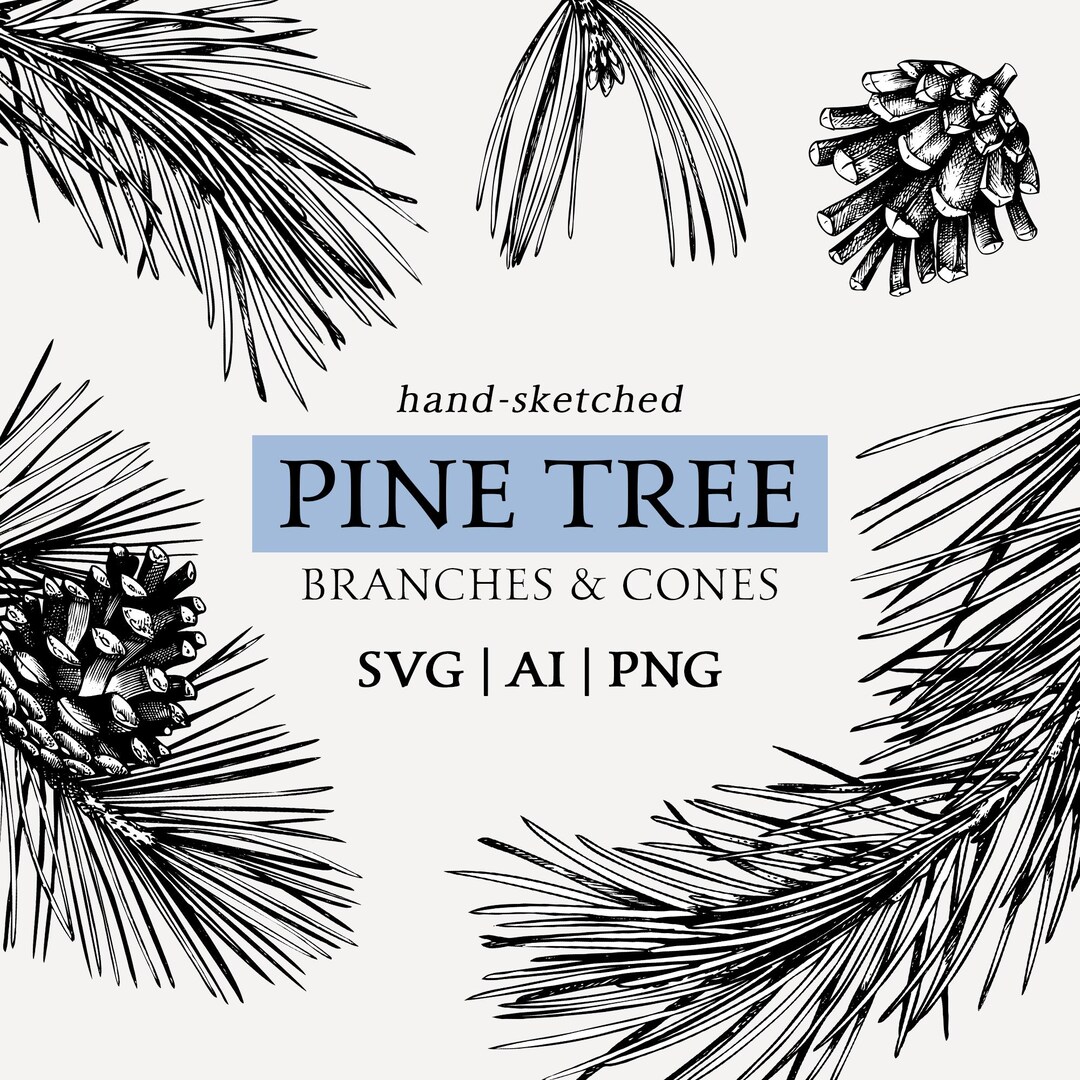 Hand Drawn Pine Tree Vector Files, Pine Cone Vintage Sketch Art ...