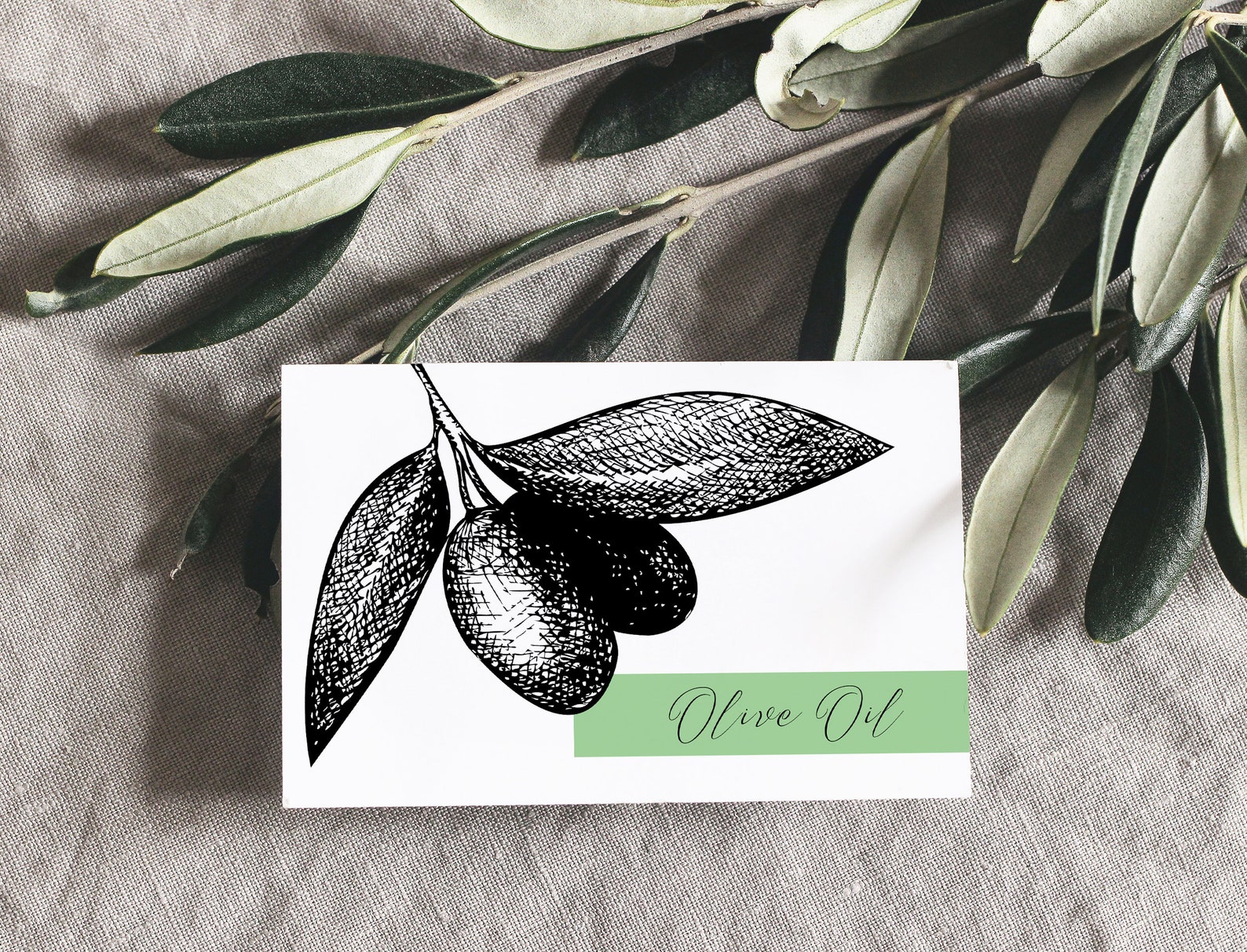 Olive Tree Digital Drawings. Vintage Style Olive Branch Botanical Print ...