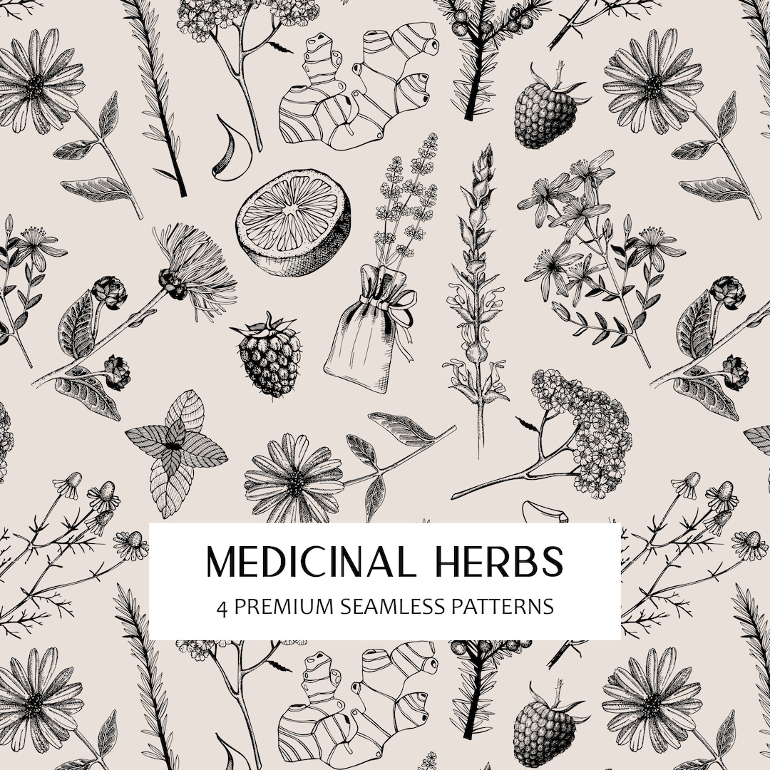 Medicinal Herbs Seamless Pattern PNG: Floral Clipart, Hand Drawn ...