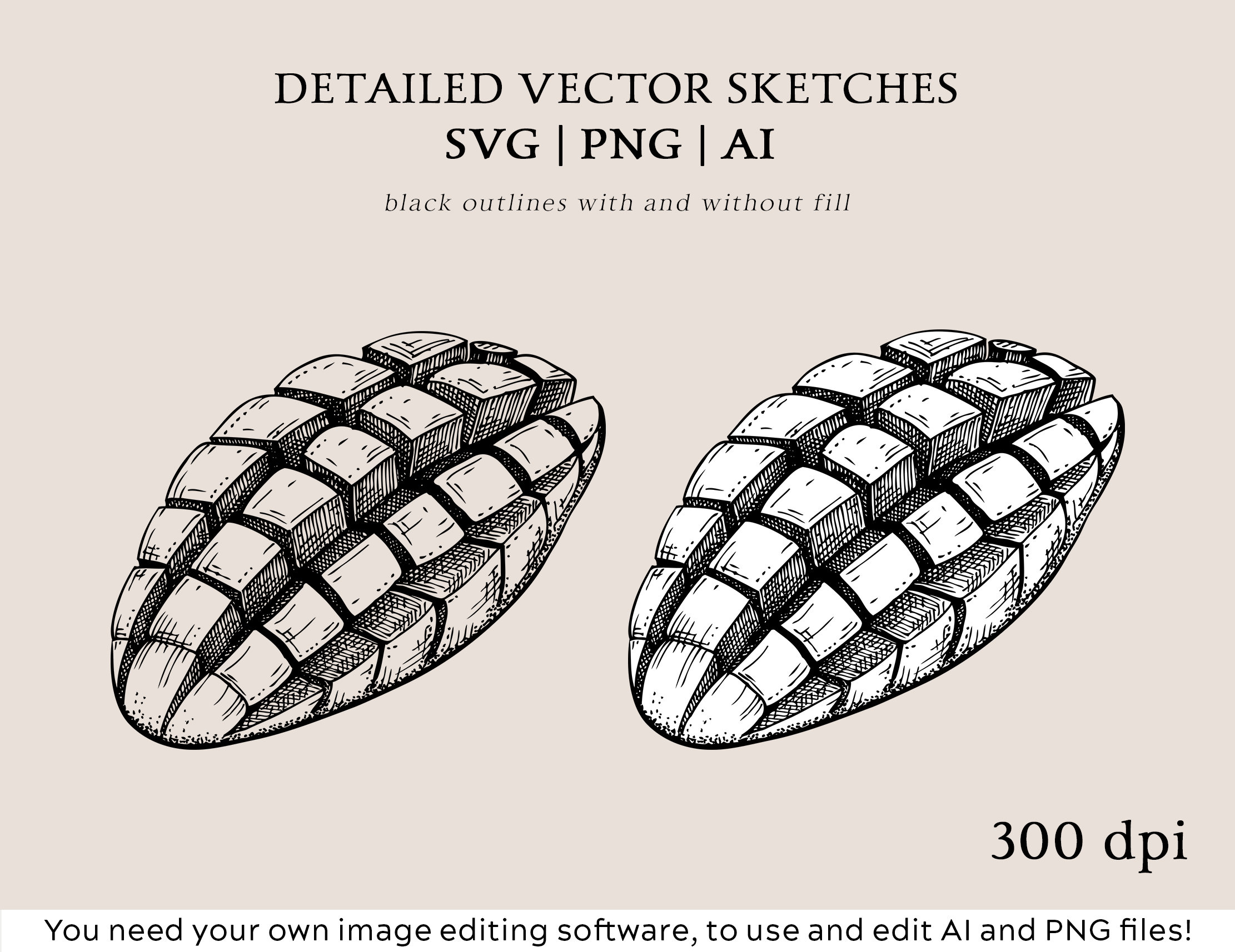 Mango Tree, Exotic Fruit Plants SVG, Engraving Vector Tropical Sketch ...