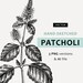 Patchouli Sketch. Herb Garden Floral Clipart. for Candle Label, Plant ...