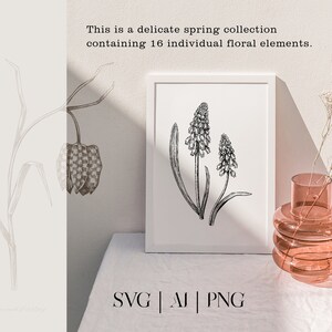 Spring PNG, Wild Flowers SVG, Wildflower Clipart, Vintage Easter ...