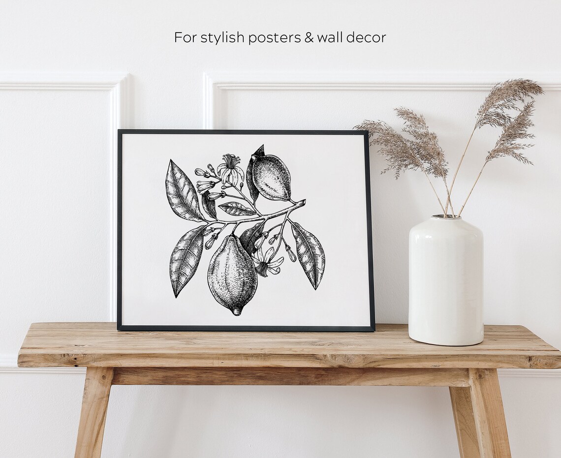 Lemon Tree Vector Art. Citrus Fruit Clipart Digital Drawing. Exotic ...