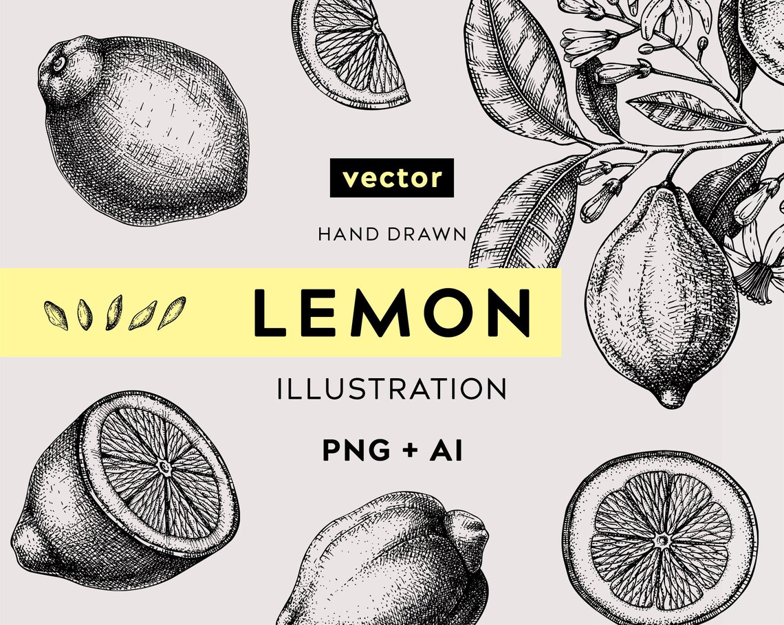 Lemon Tree Vector Art. Citrus Fruit Clipart Digital Drawing. Exotic ...