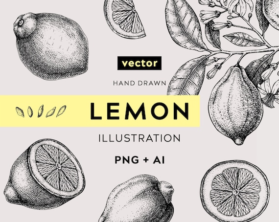 Lemon Tree Vector