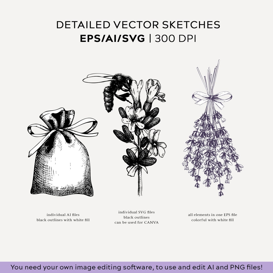 Lavender Clipart, Hand Drawn Flowers, Engraving Vector, Vintage Sketch ...