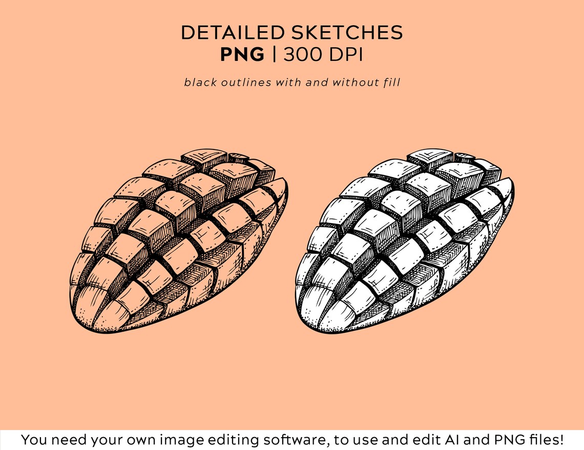 Mango Tree Botanical Sketch, Exotic Fruit Plant, Summer PNG, Engraving ...