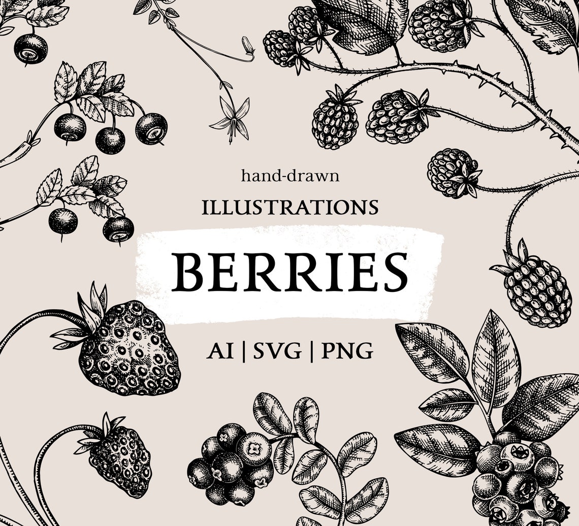 Berries SVG Files, Fruit Plant Vector Graphics, Botanical SVG, Food ...