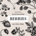 Berries SVG Files, Fruit Plant Vector Graphics, Botanical SVG, Food ...