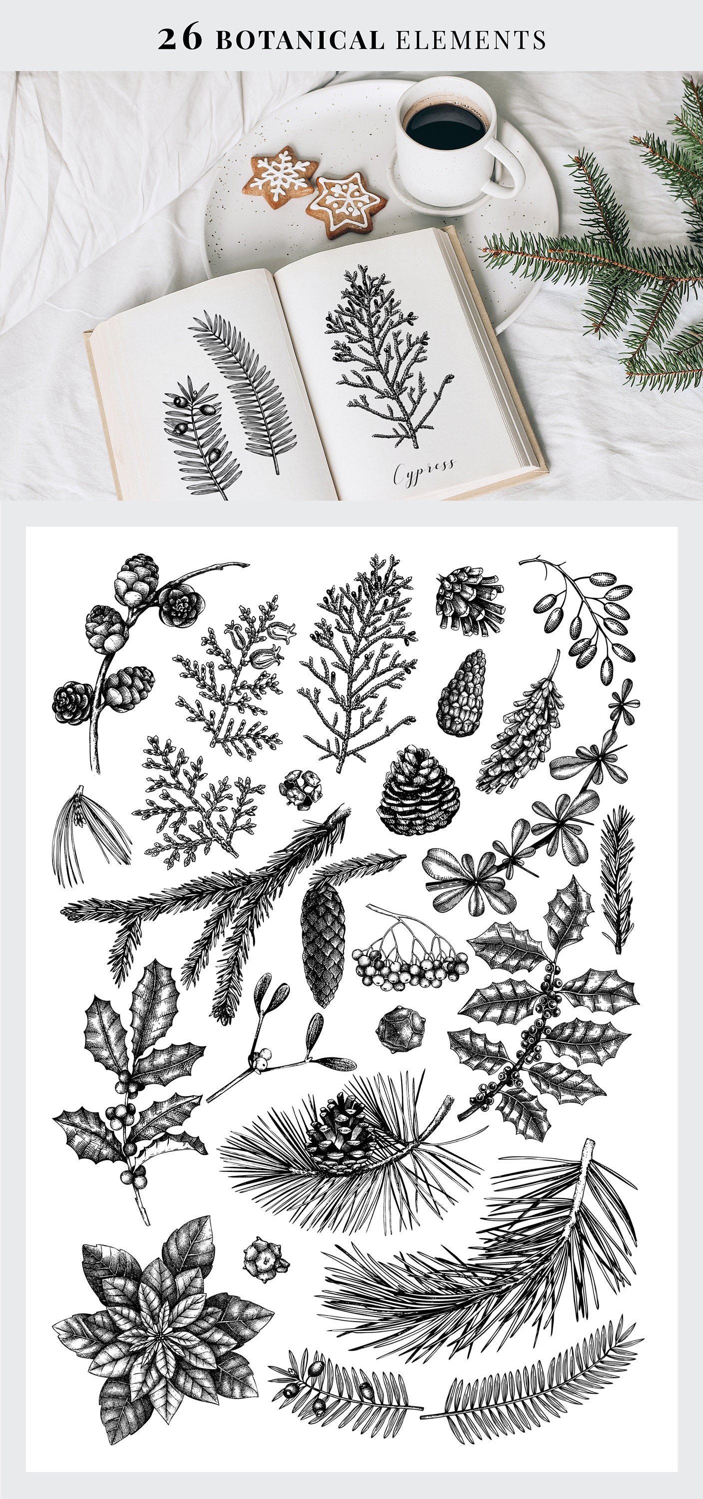 Christmas Decorations Clip Art. Vintage Christmas Decor PNG. Winter ...