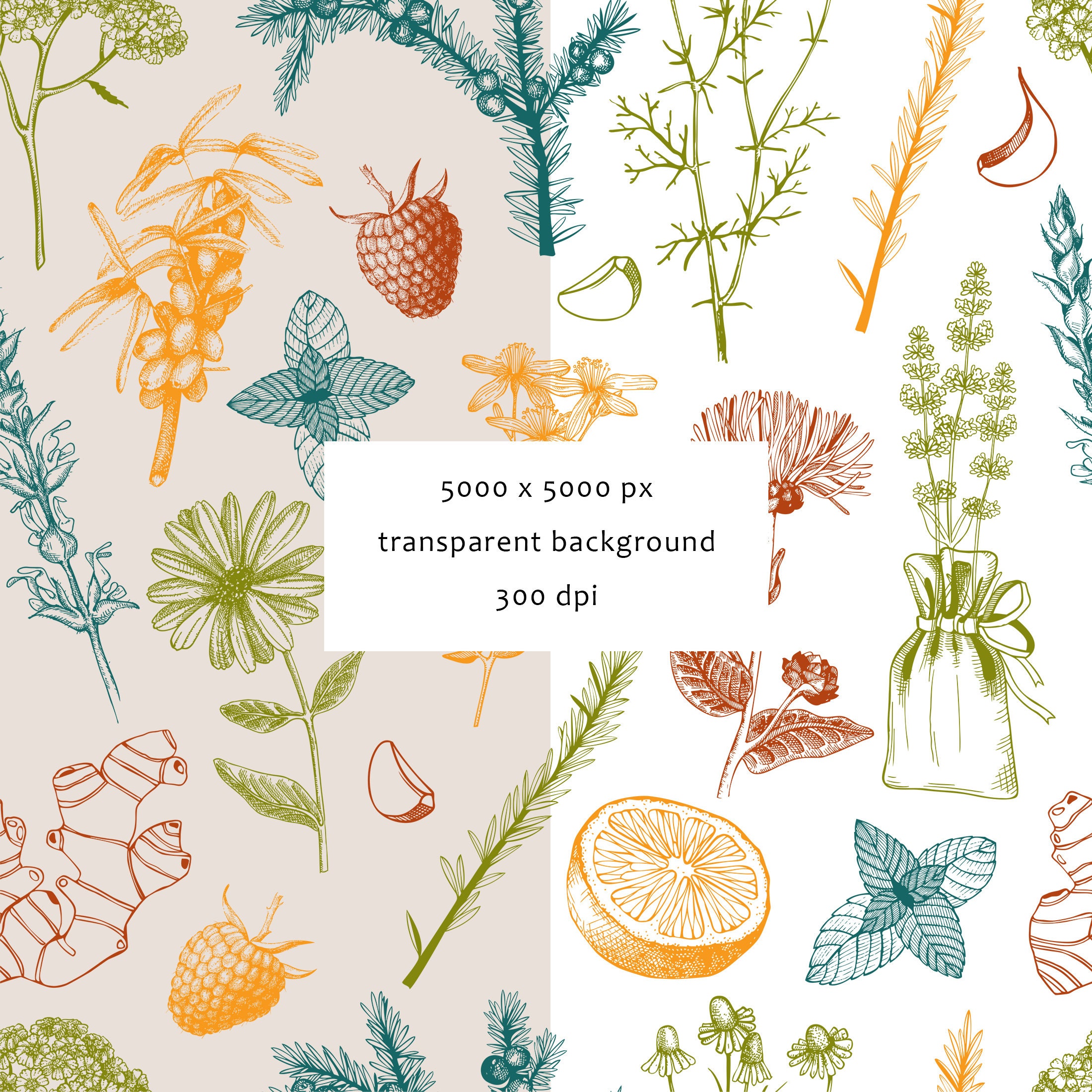 Medicinal Herbs Seamless Pattern PNG, Herbal Medicine Vintage Pattern ...