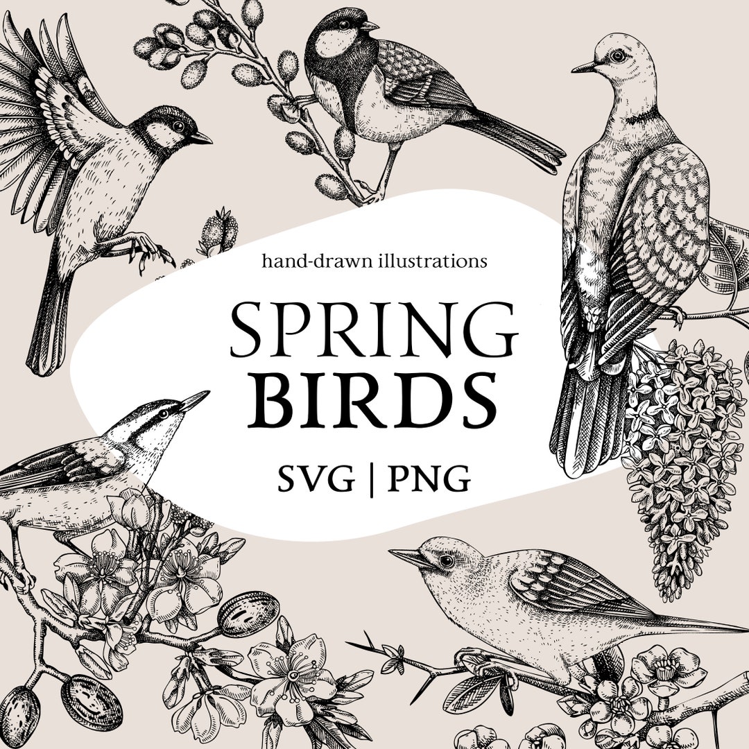 Bird Clipart: Hand Drawn Flowers SVG, Tree Branches Botanical Print ...