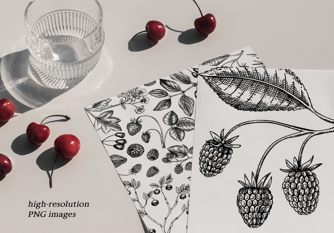 Berries SVG Files, Fruit Plant Vector Graphics, Botanical SVG, Food ...