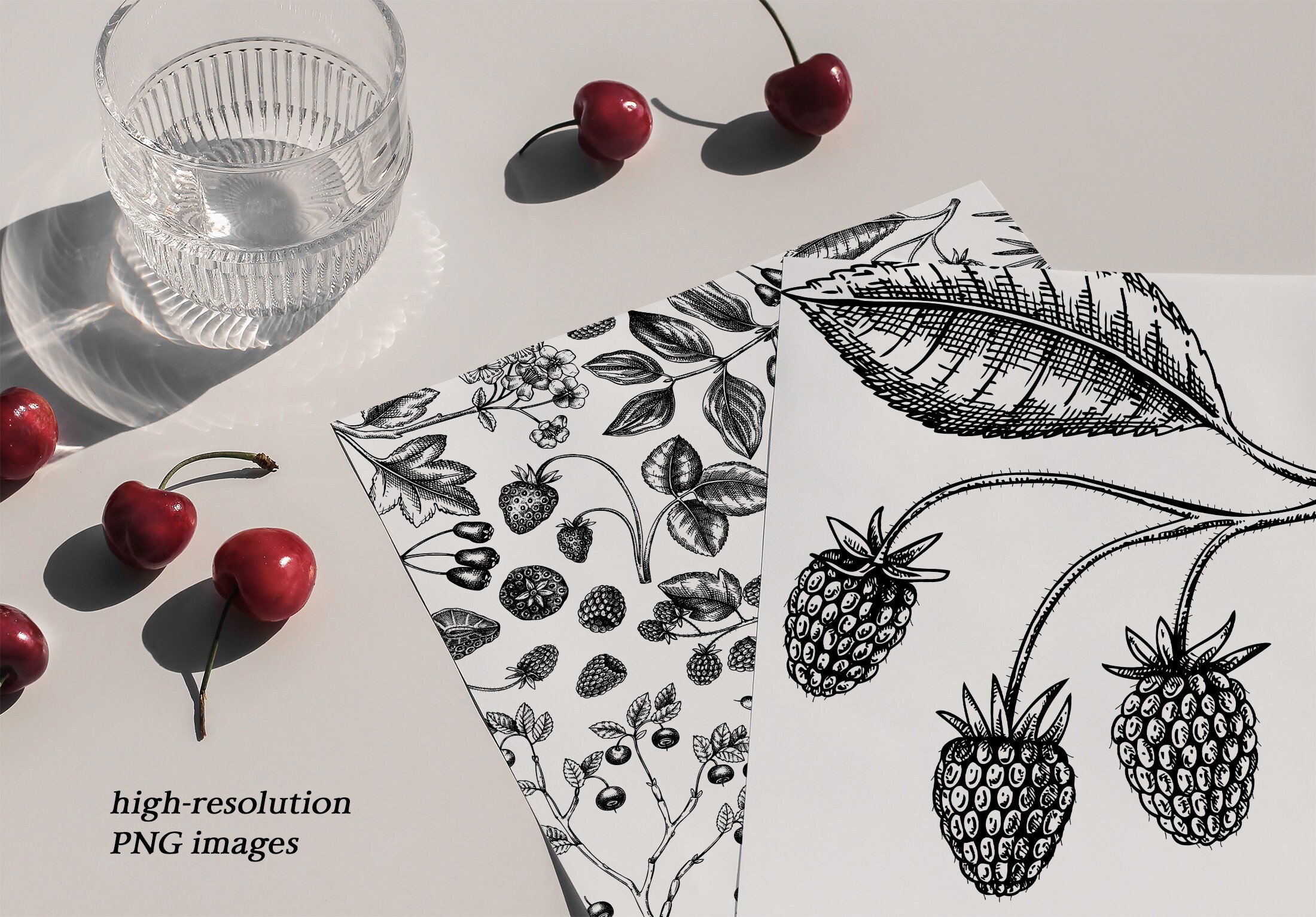 Berries SVG Files, Fruit Plant Vector Graphics, Botanical SVG, Food ...