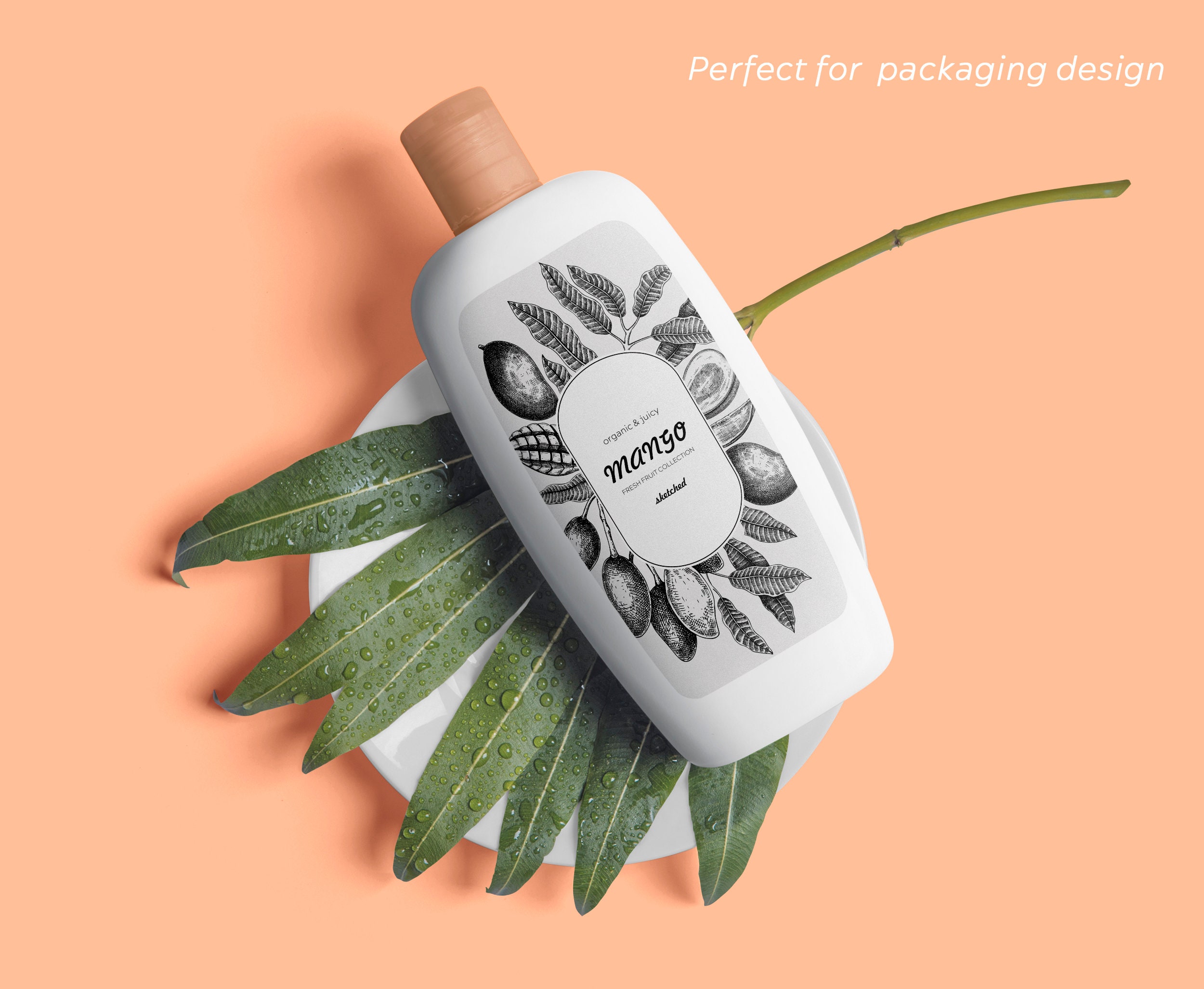 Mango Tree Botanical Sketch, Exotic Fruit Plant, Summer PNG, Engraving ...